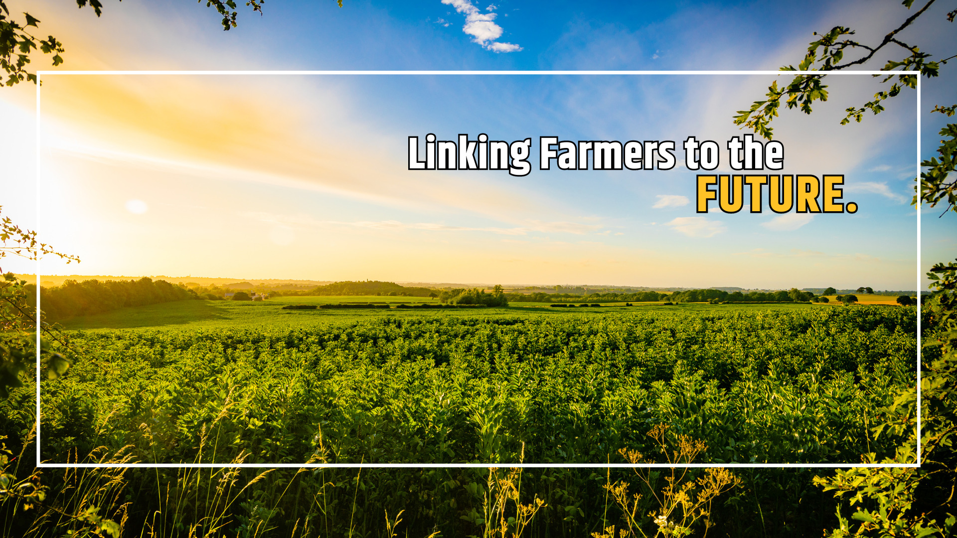 Pennsylvania Farm Link Endowment Fund - Lancaster County Community ...
