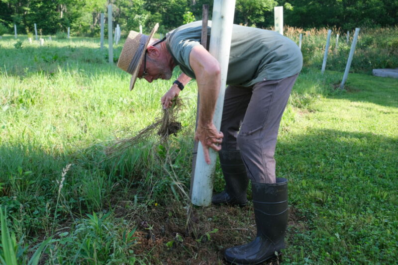 Announcing more than $100,000 in Grants Awarded to Improve Lancaster ...