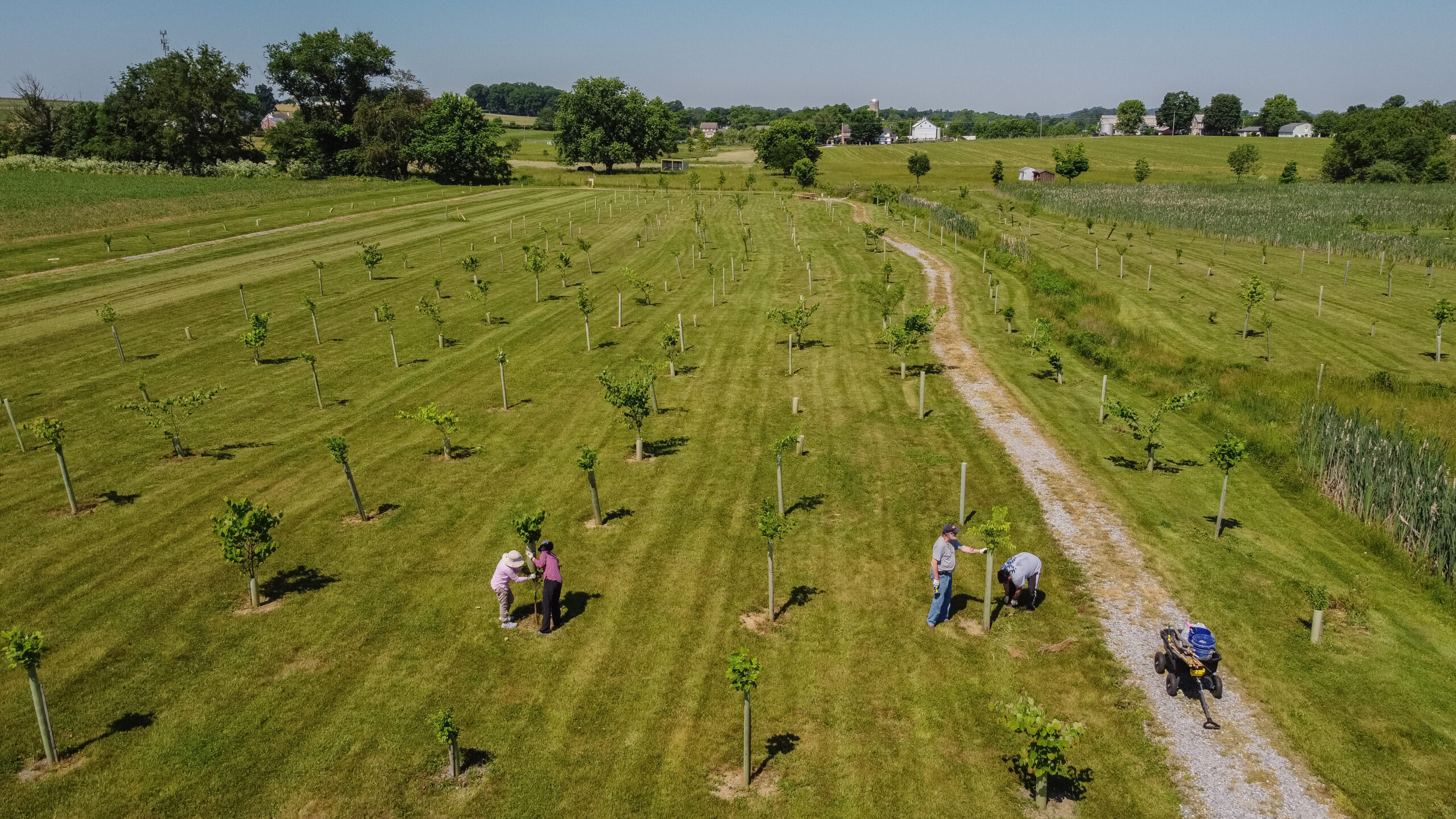 Lancaster Environmental Fund - Lancaster County Community Foundation