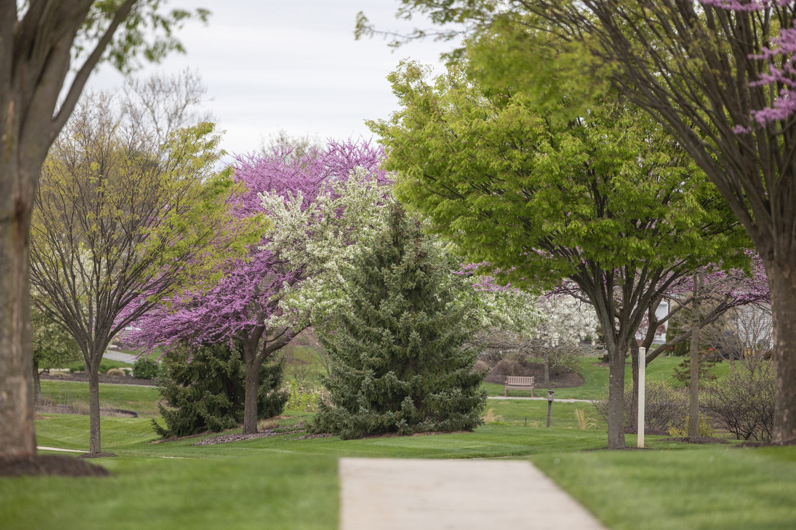 Grant History Timeline - Lancaster County Community Foundation