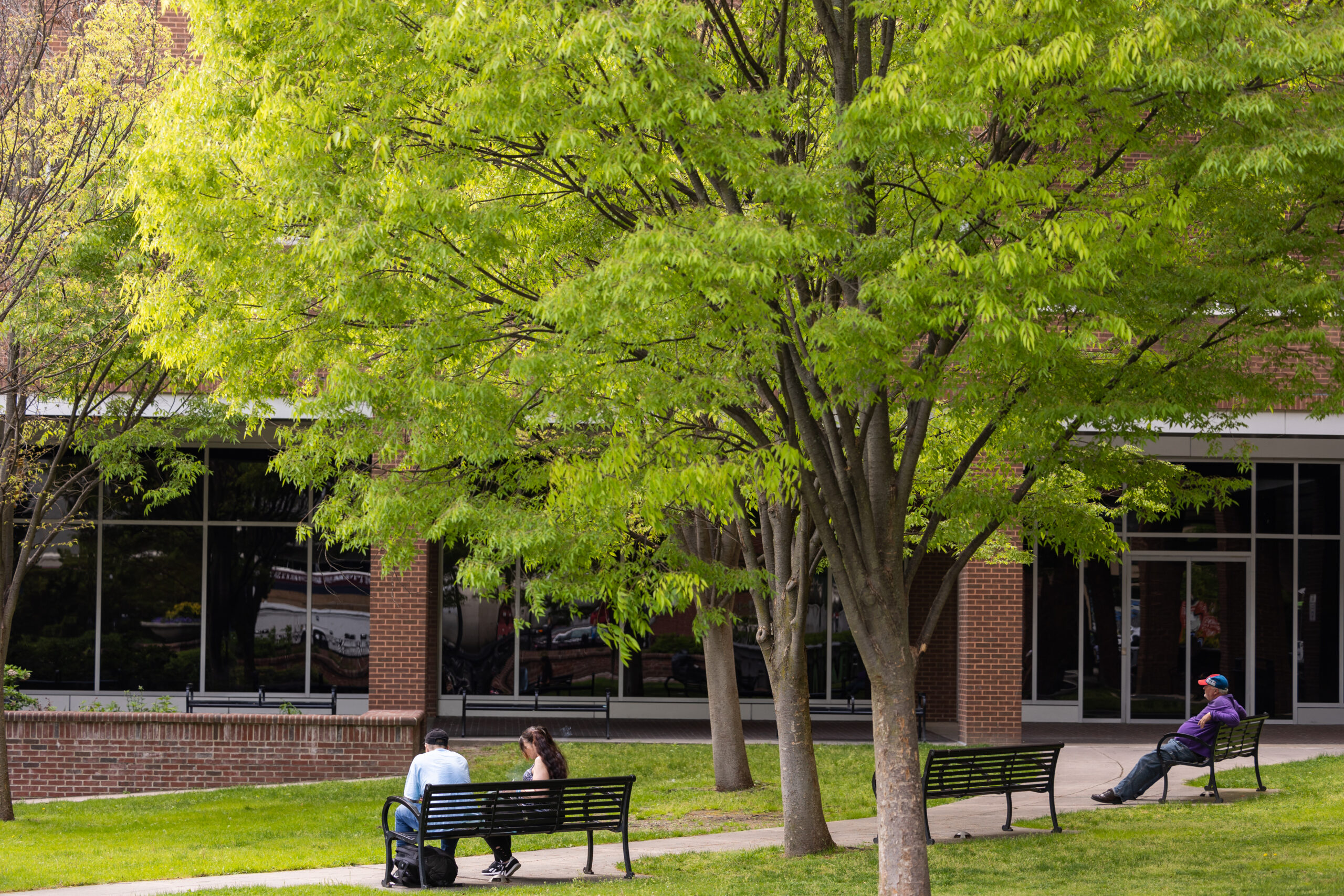 Lancaster Equity Council Awards Over $50,000 & Launches Cohort to ...