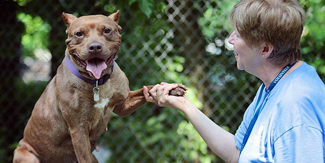 Humane League of Lancaster Fund - Lancaster County Community Foundation